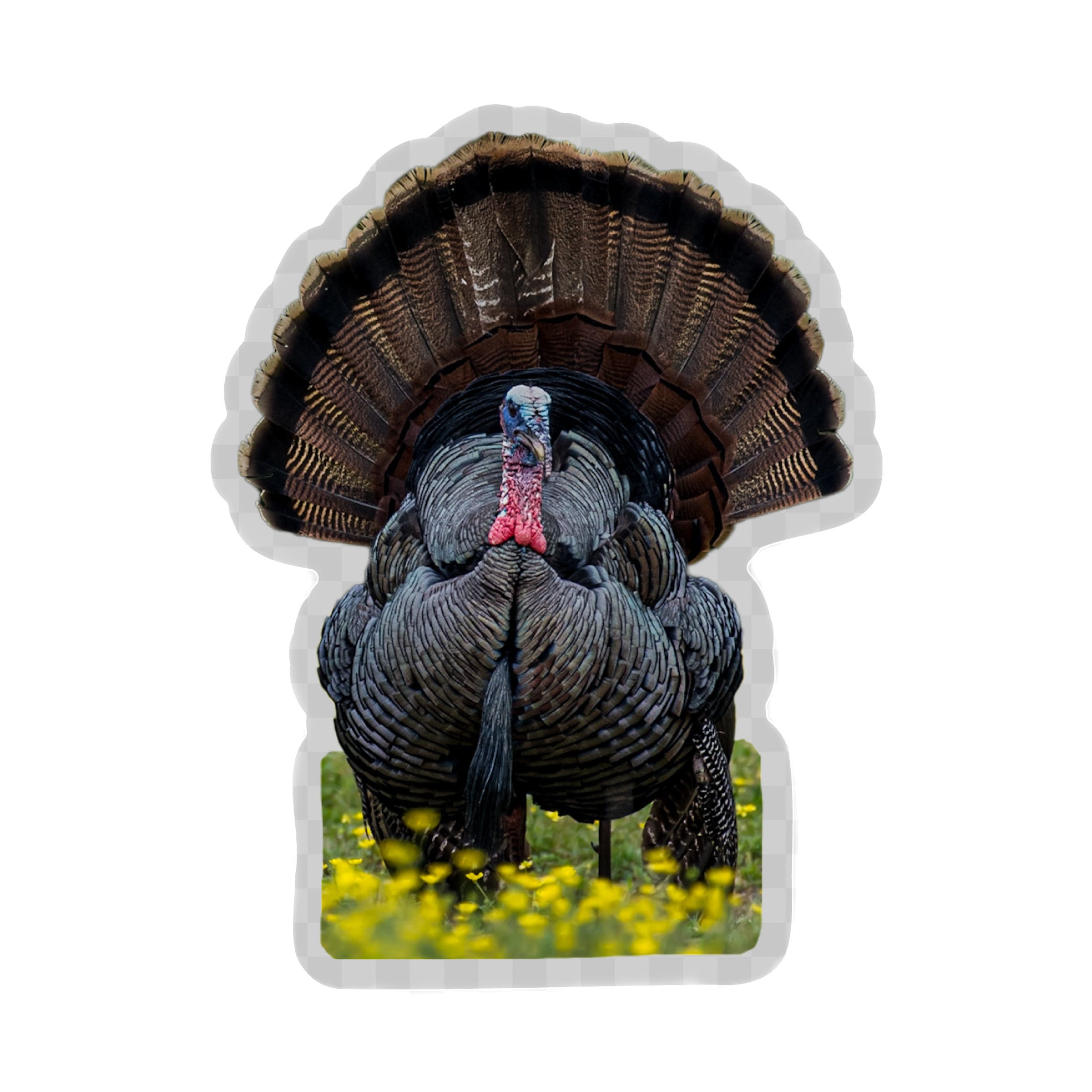 Strut, Fluff, and Gobble Sticker | Sarah Jane Moore Photography, LLC